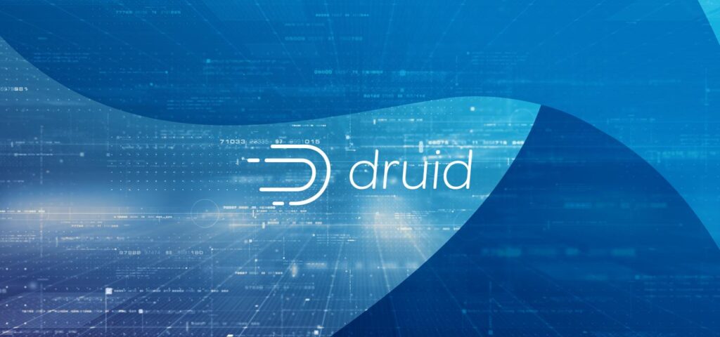druid2 | Datasturdy Consulting